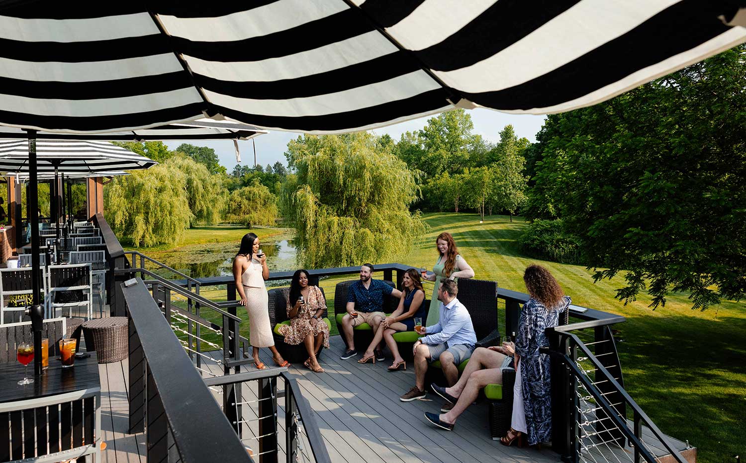 The Twisted Olive - Gervasi Vineyard