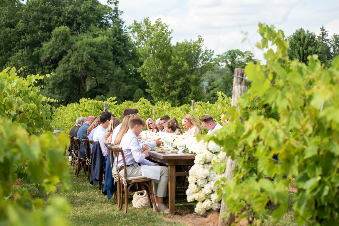 Private Vineyard Dining - Gervasi Vineyard